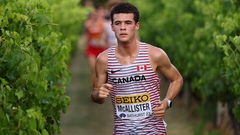 Live Tv Windsor Cbc Gem