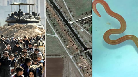 About That with Andrew Chang | Shows | CBC Gem