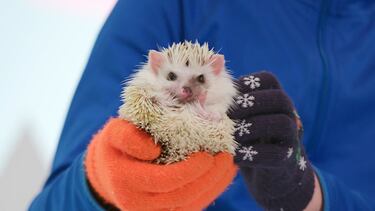 Bestest Day Ever With My Best Friend | Short-form Series | CBC Gem