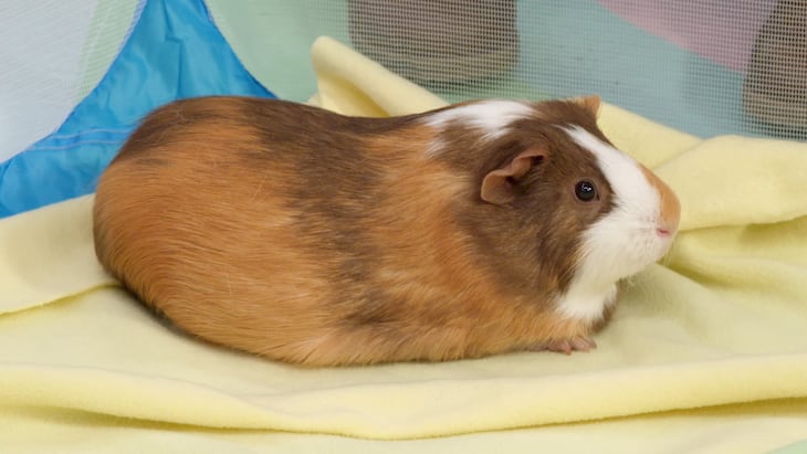 Bestest Day Ever With My Best Friend | Season 2 | CBC Gem