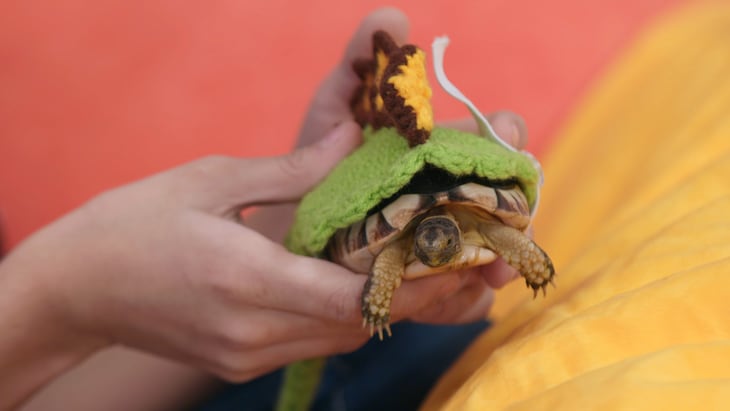 Bestest Day Ever With My Best Friend | Season 1 | CBC Gem