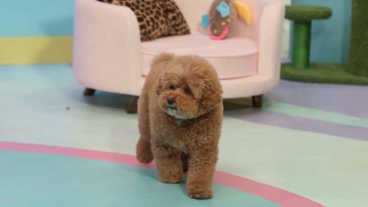 Bestest Day Ever With My Best Friend | Season 1 | CBC Gem