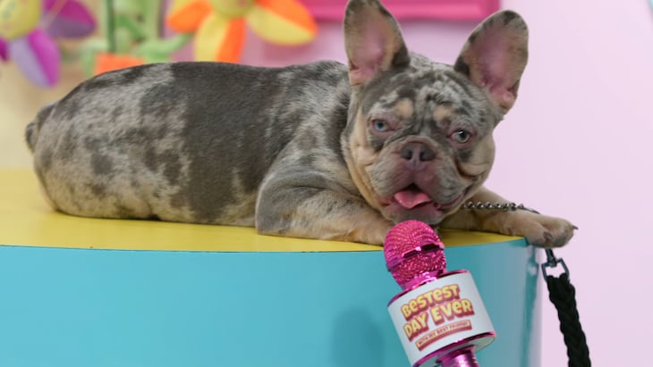 Bestest Day Ever With My Best Friend | Season 1 | CBC Gem