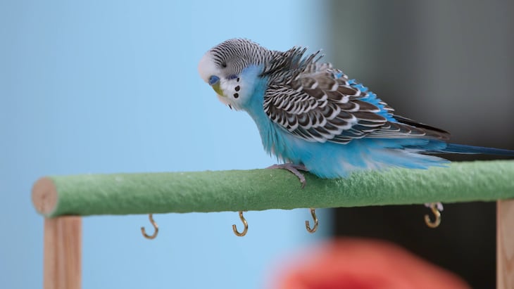 Bestest Day Ever With My Best Friend | Season 1 | CBC Gem