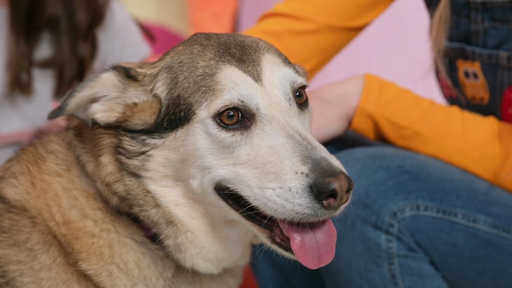 Bestest Day Ever With My Best Friend | Season 1 | CBC Gem