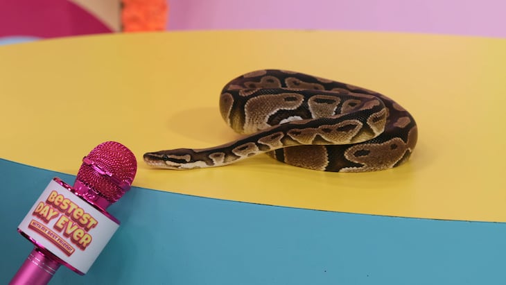 Bestest Day Ever With My Best Friend | Season 1 | CBC Gem