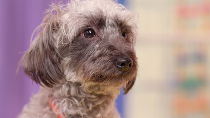 Bestest Day Ever With My Best Friend | Short-form Series | CBC Gem