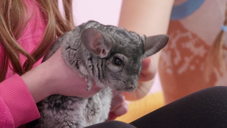 Bestest Day Ever With My Best Friend | Season 2 | CBC Gem