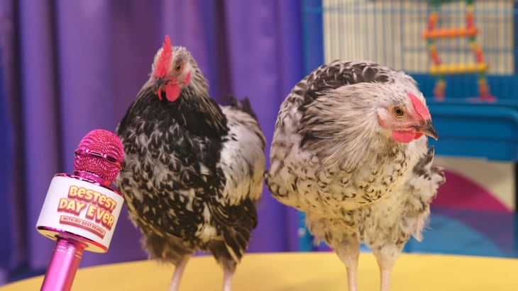 Bestest Day Ever With My Best Friend | Short-form Series | CBC Gem