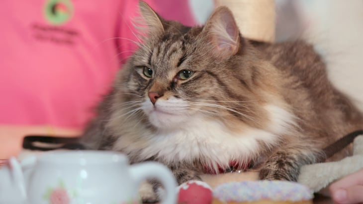 Bestest Day Ever With My Best Friend | Season 2 | CBC Gem