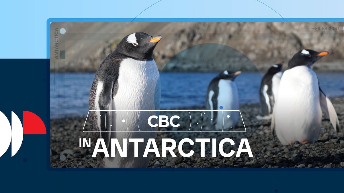 CBC in Antarctica | Films | CBC Gem