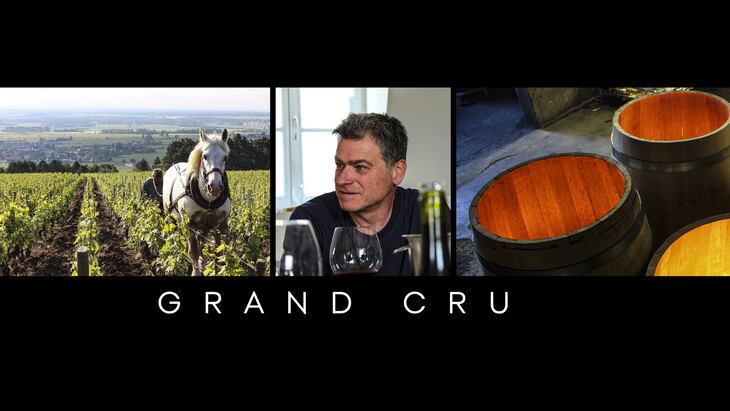 Documentary channel | CBC Gem