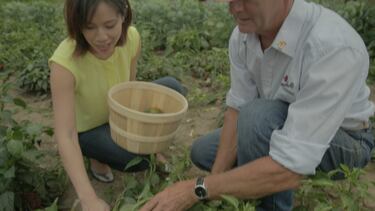 Four Senses | Season 4 | CBC Gem