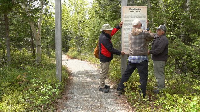 Stories From Across Canada | CBC Gem