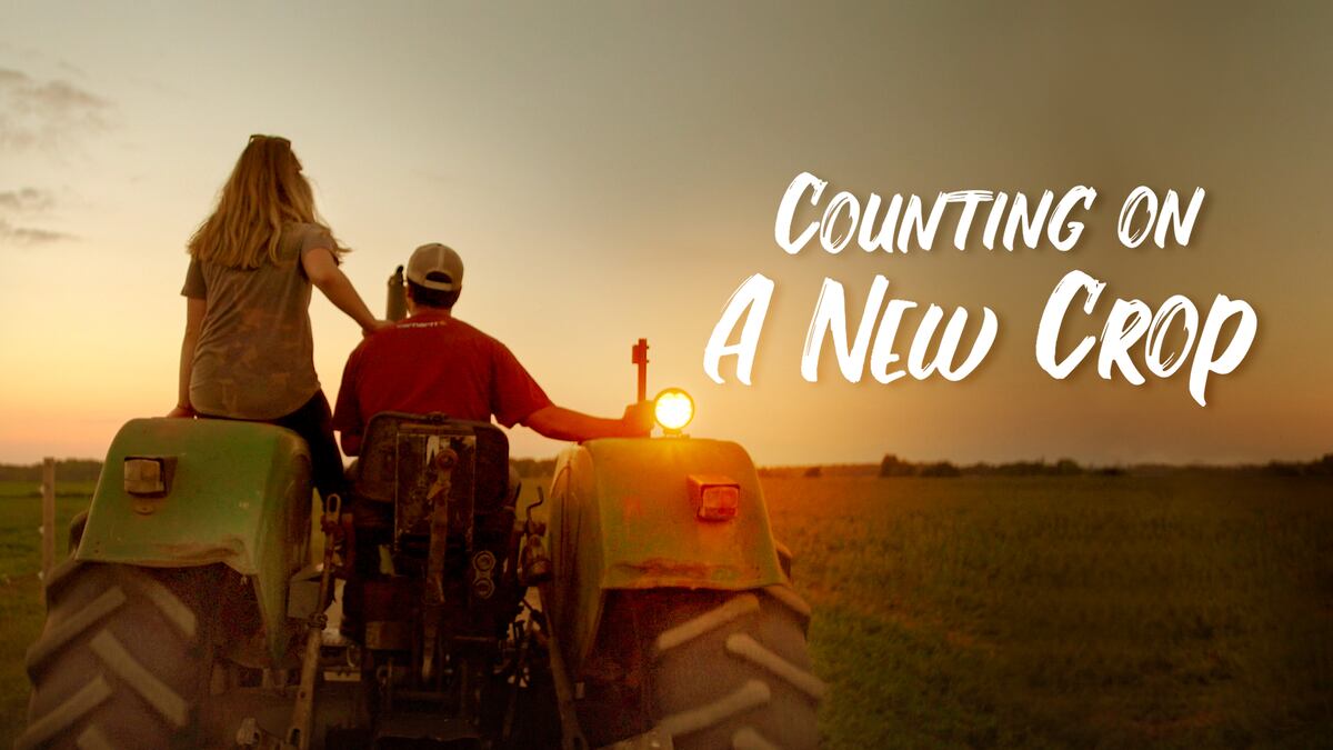 Counting on a New Crop | Season 1 | CBC Gem
