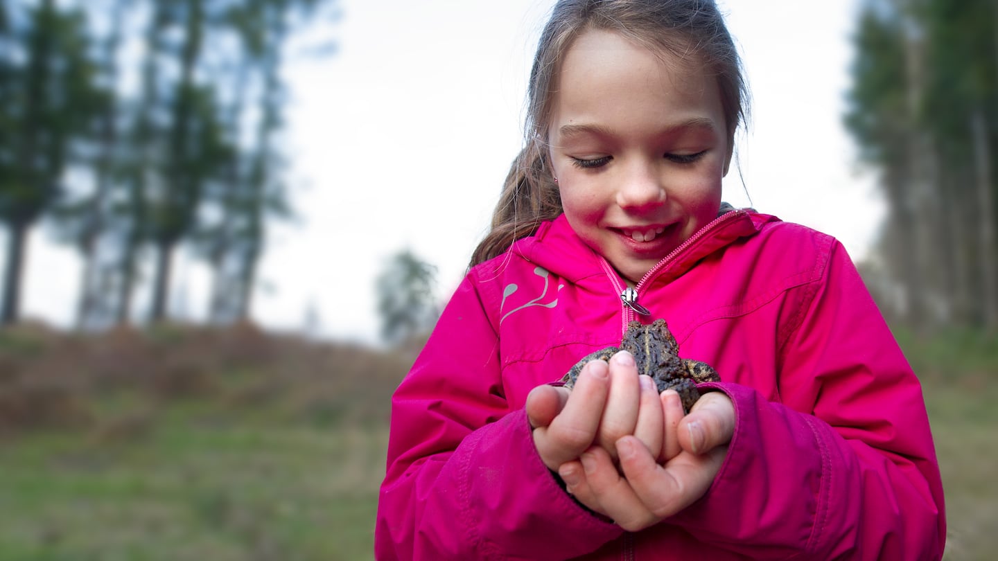 Toad People | Short format | CBC Gem