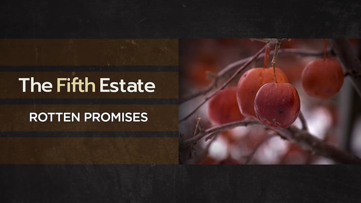The Fifth Estate | Season 49 | CBC Gem