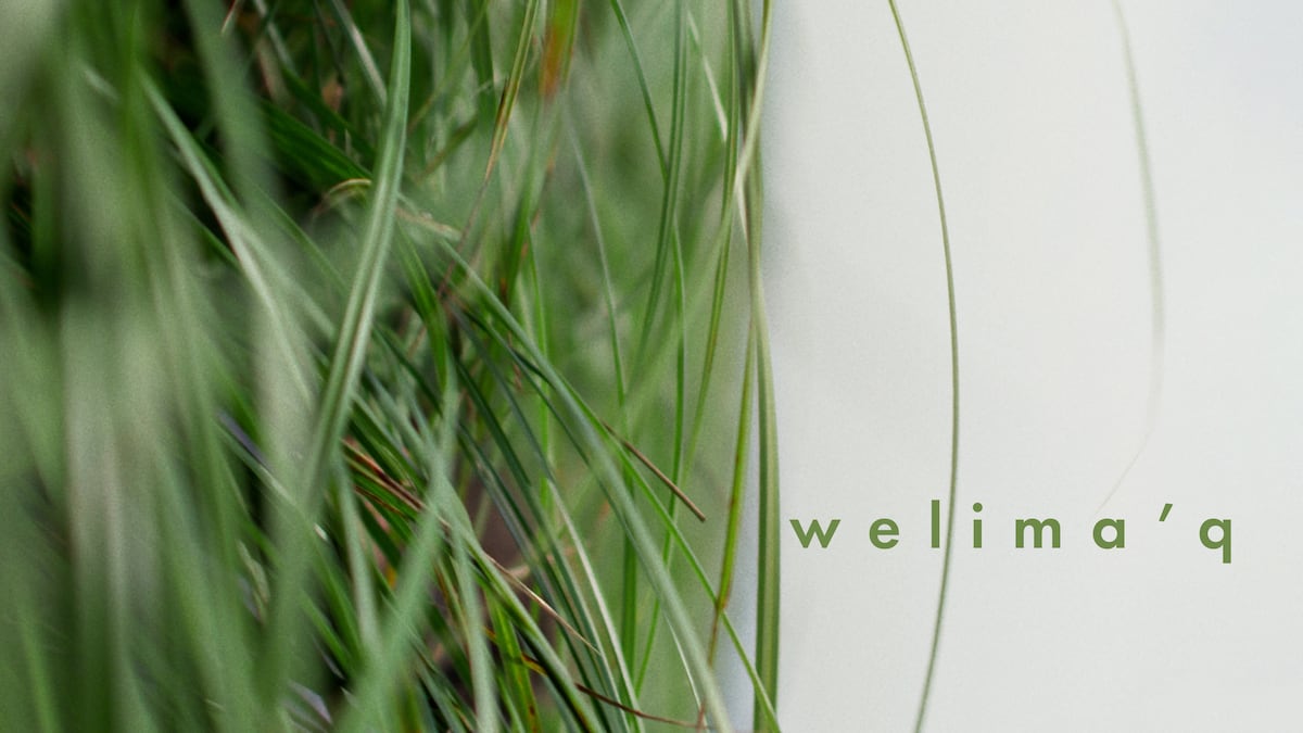 welima’q | Short format | CBC Gem