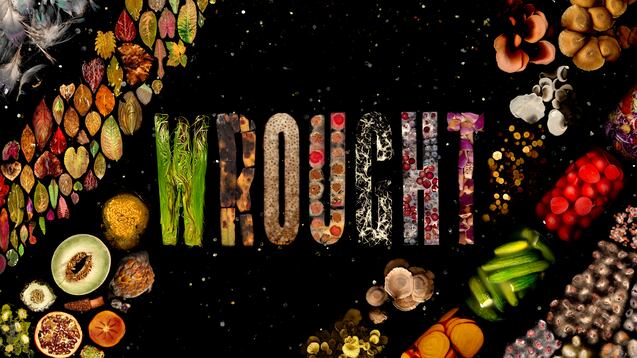 New Releases | CBC Gem