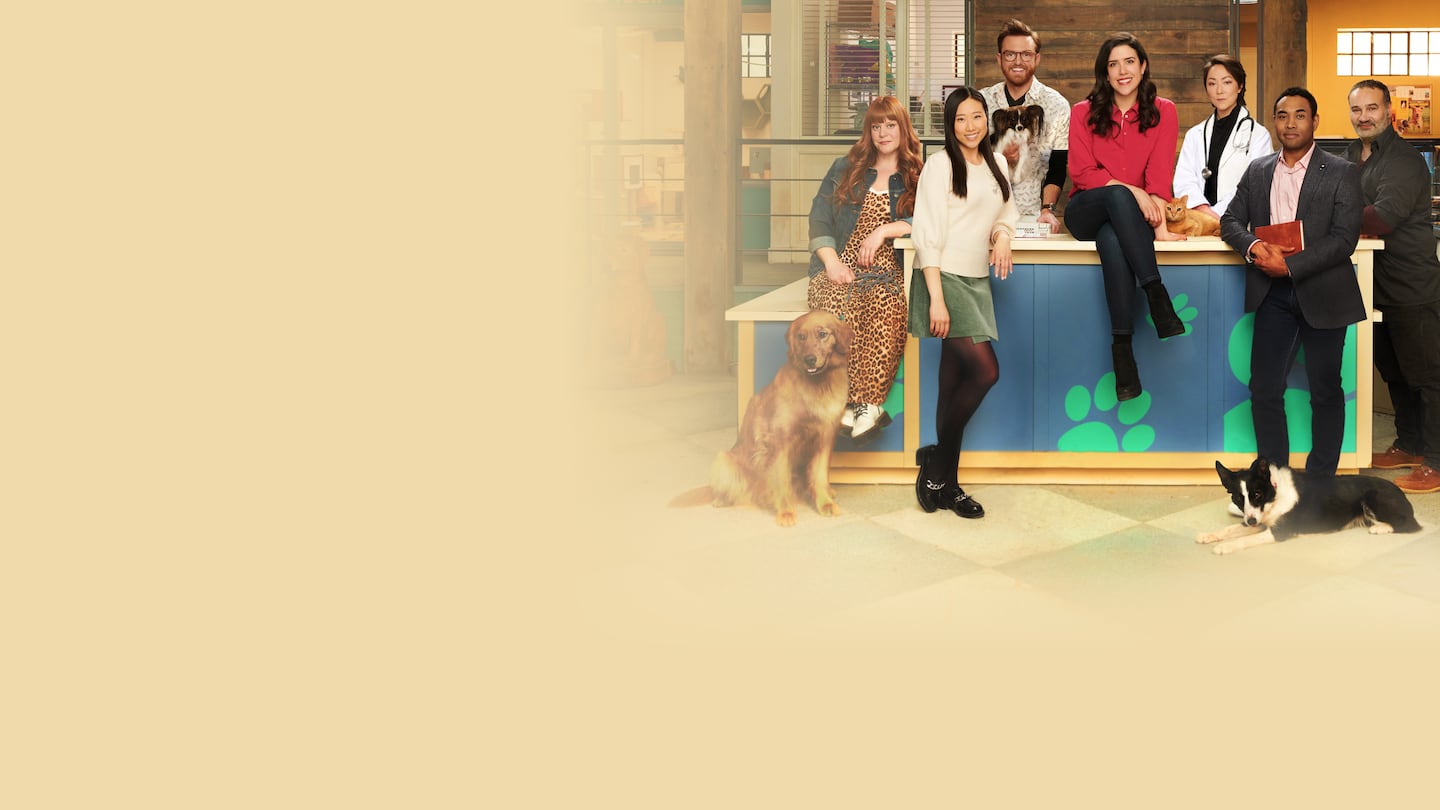 Strays | Shows | CBC Gem