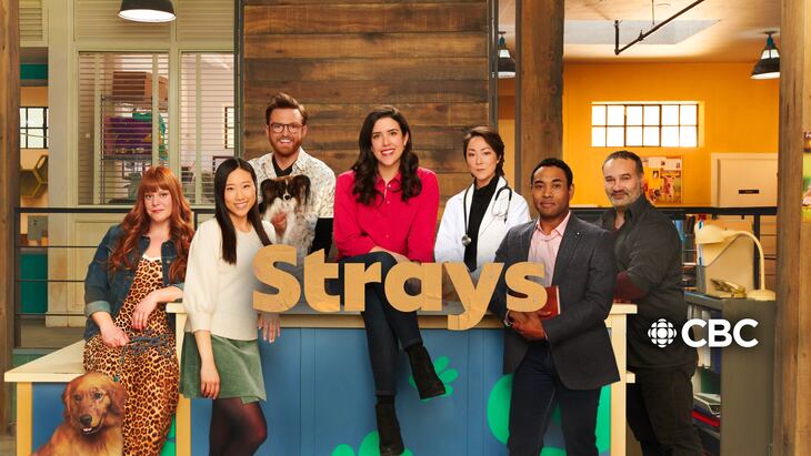 Veterinary medicine | CBC Gem