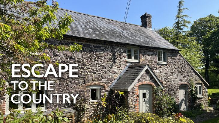 Live TV | CBC News New Brunswick | CBC Gem