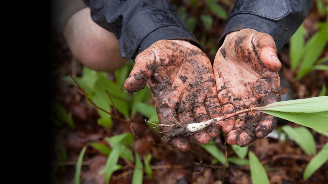 Forage | Short-form Series | CBC Gem