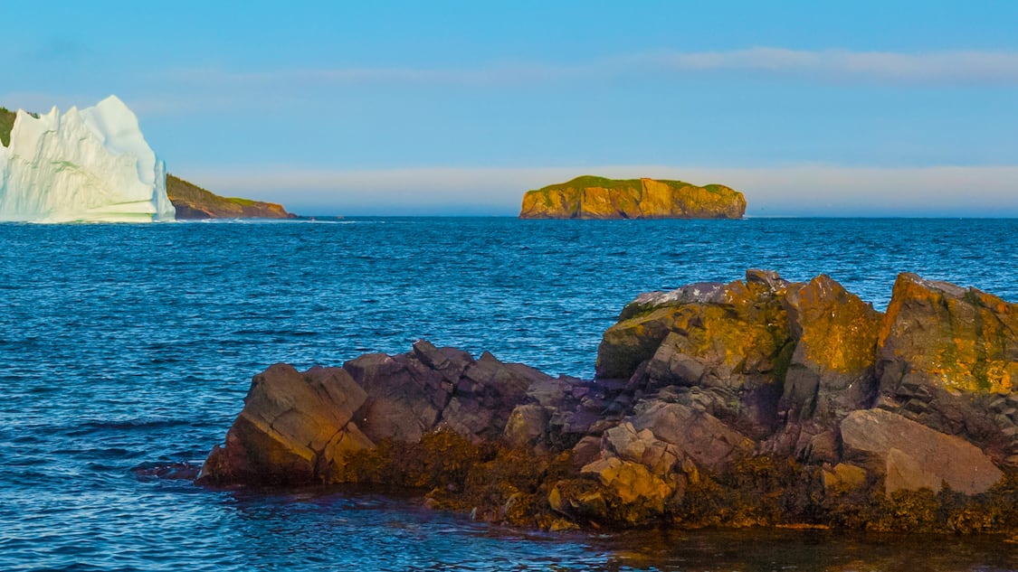 Land and Sea NFLD | Season 60 | CBC Gem