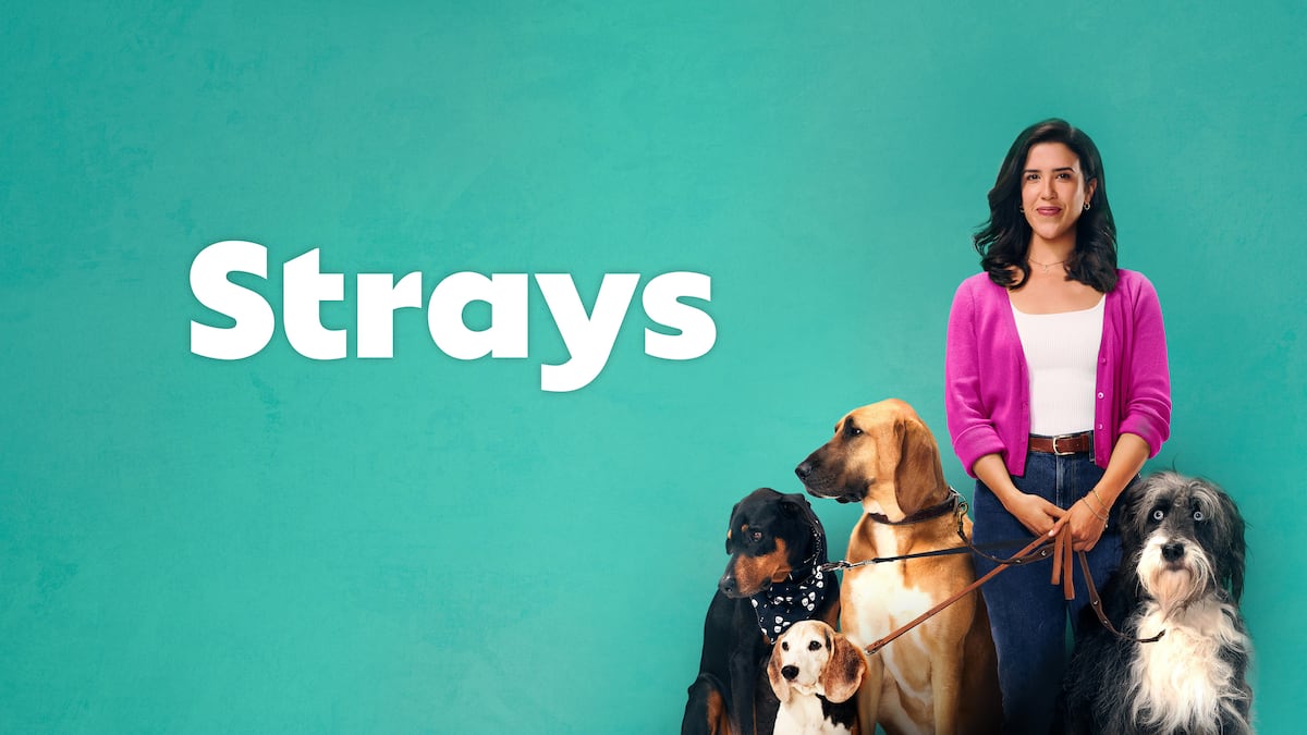 Strays | Season 2 | CBC Gem