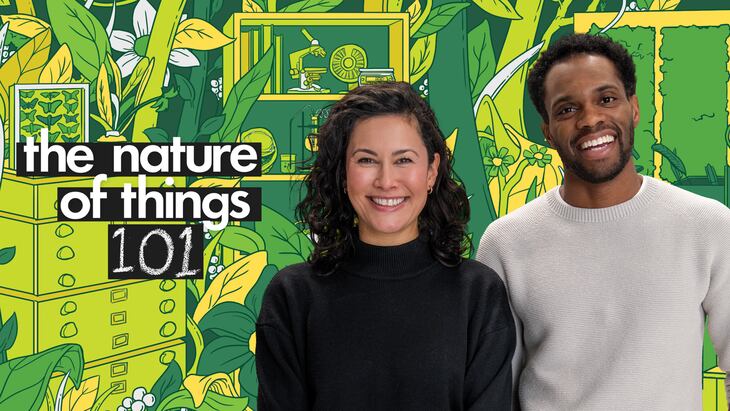 The Nature of Things | Season 64 | CBC Gem