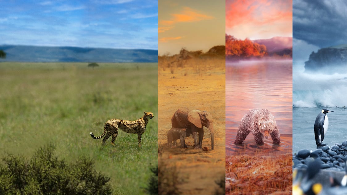 A Year on Planet Earth | TV Shows | CBC Gem